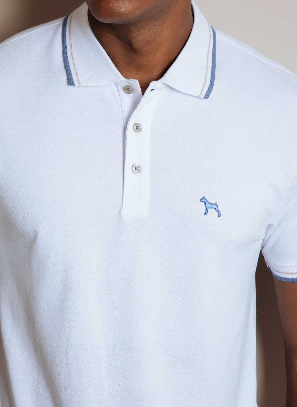 Polos básicas – Página 3 – Victor